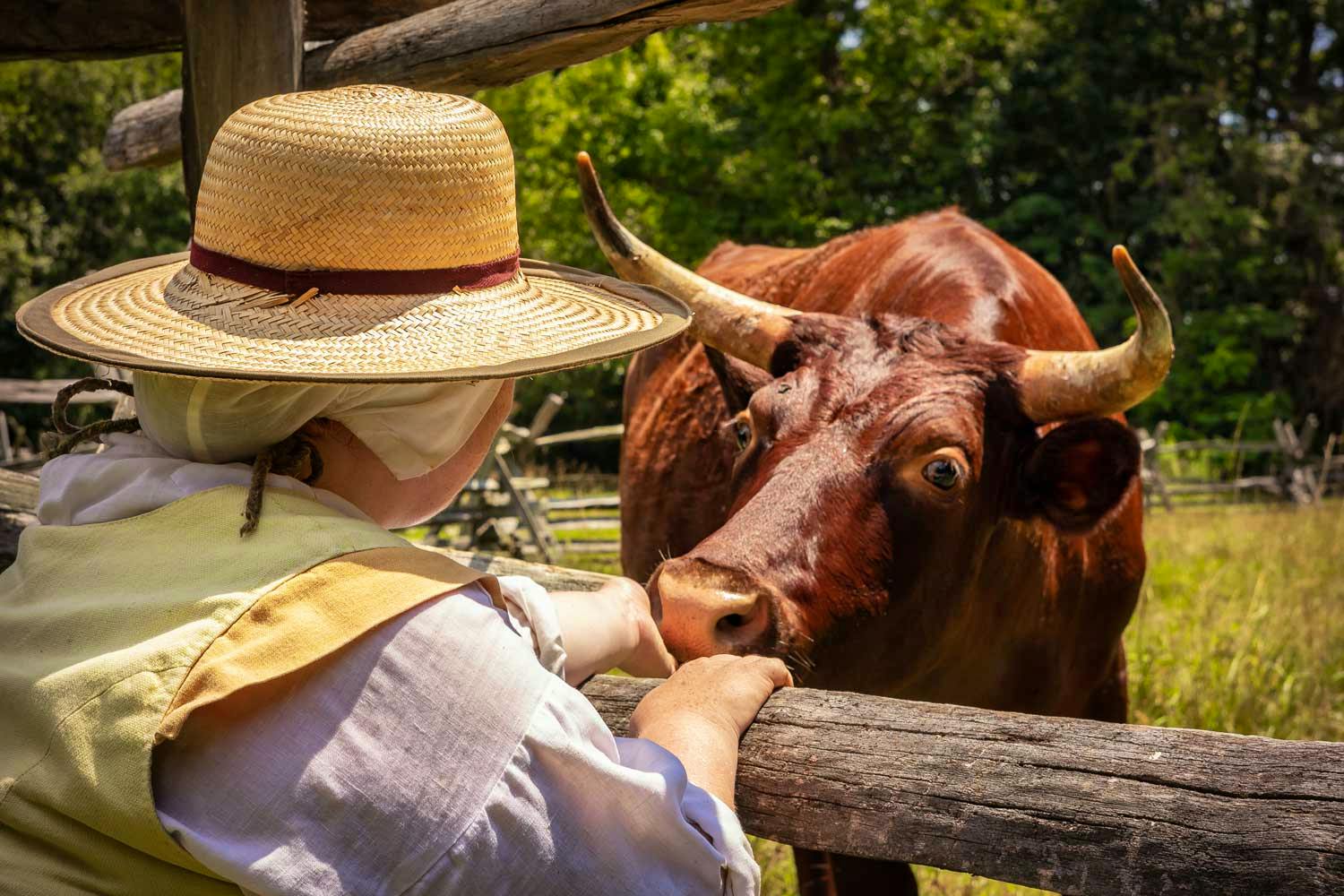 Scouts BSA—Archaeology Merit Badge - Calendar of Events – Historic St ...