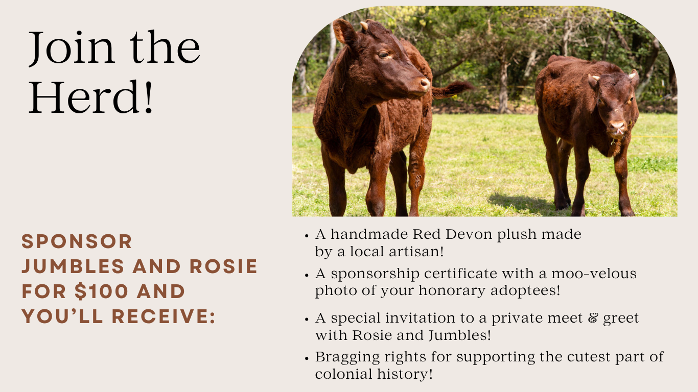 Join The Herd